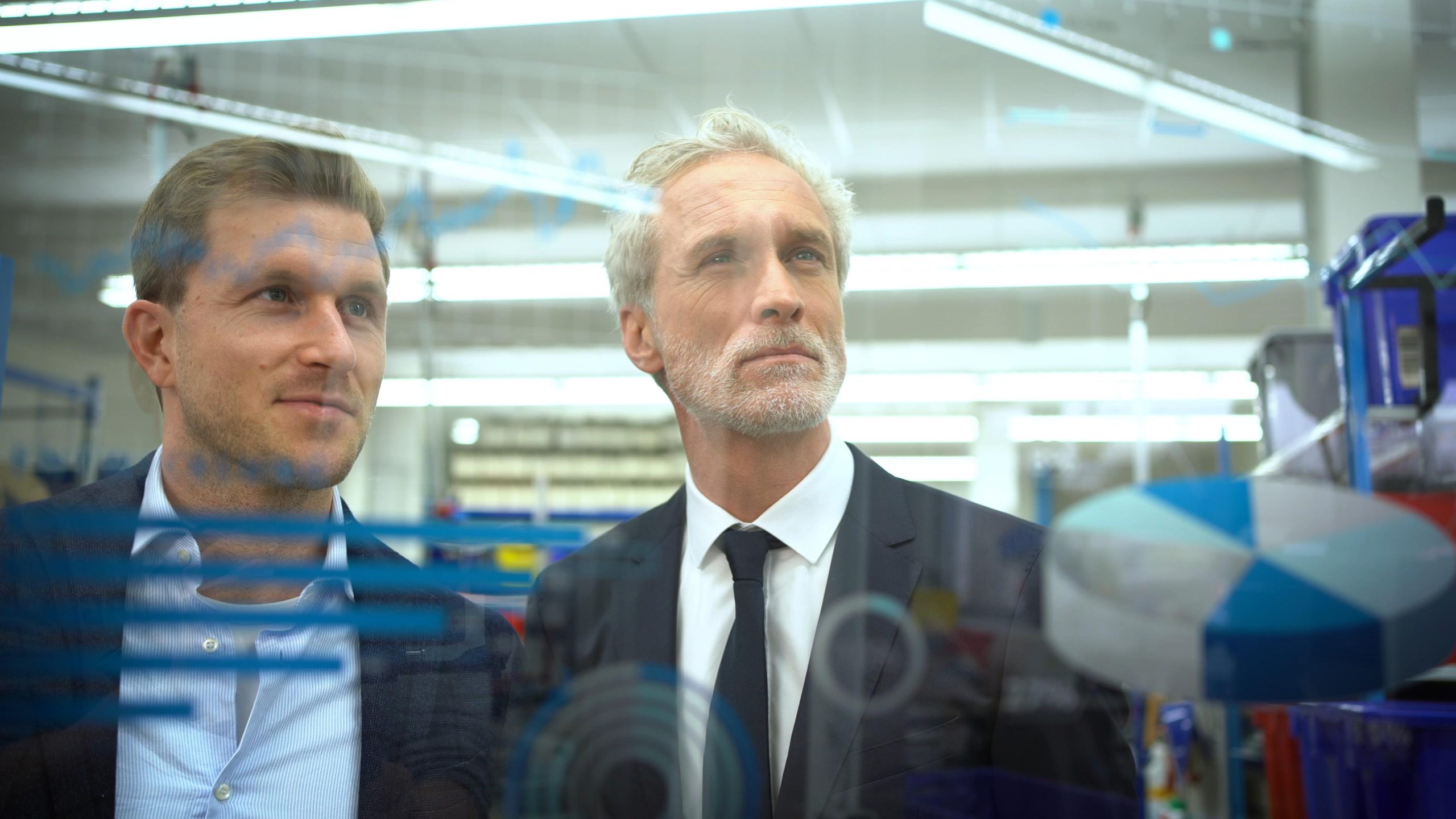 Diaphanos – Consultancy and Training